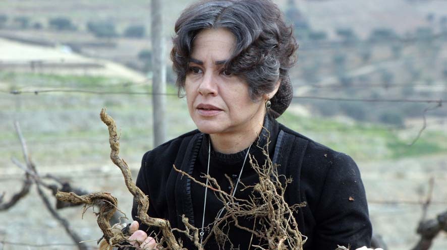 Filomena Gonçalves regressa ao teatro, 18 anos depois – VOX POP TV / A ...